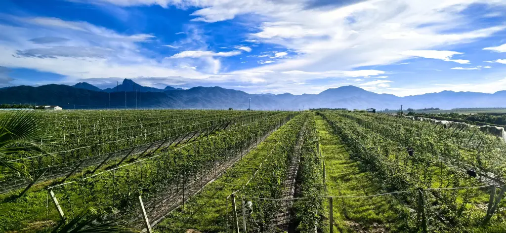 News & Blog - HARVEDEX